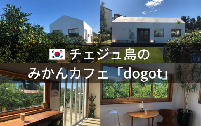 チェジュ島のみかんカフェ「dogot」に行った感想【行き方も解説】 | こりの日常